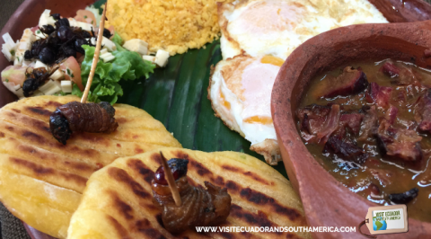 Chontacuro a delicacy from the Amazon Rainforest, Ecuador - Visit ...