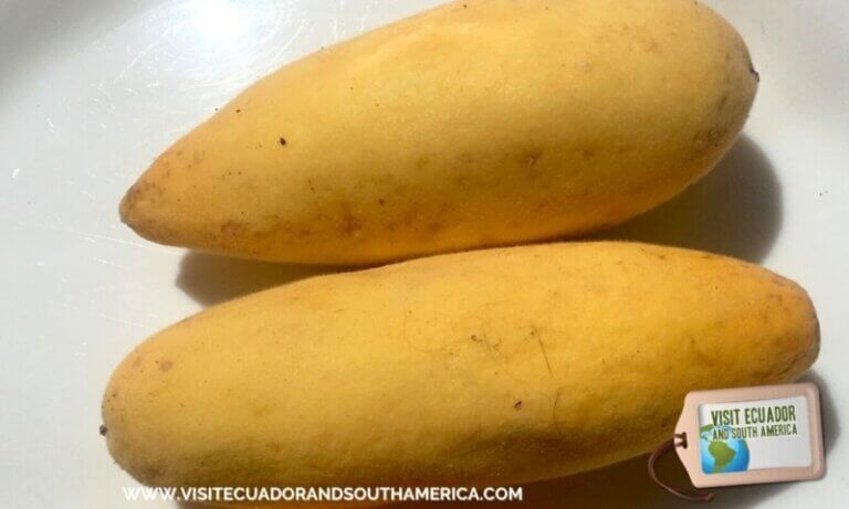 Top 7 exotic fruits to taste in Ecuador - Visit Ecuador and South America