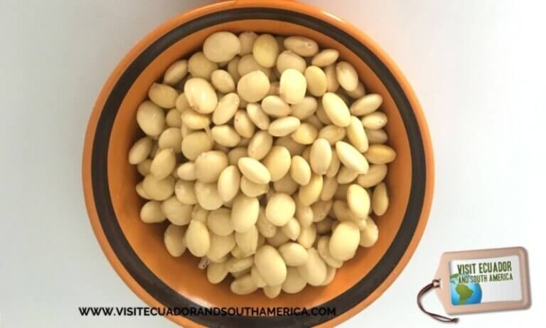 Ecuadorian Street Food: chochos and tostado - Visit Ecuador and South ...