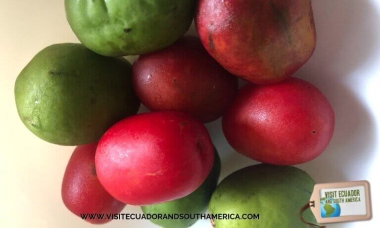 Ecuadorian fruit: ovo - Ecuador