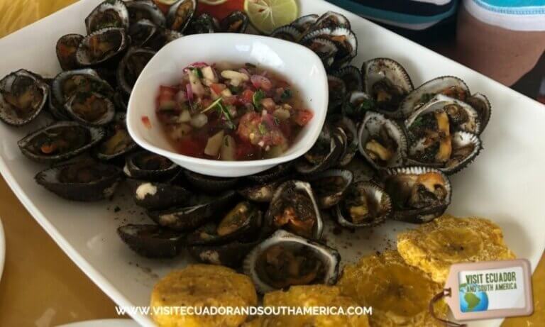 Ecuadorian food: Conchitas asadas - Visit Ecuador and South America