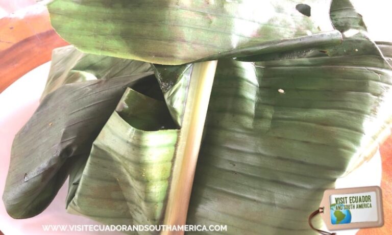 tonga manabita